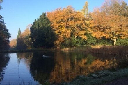 Brandon Country Park