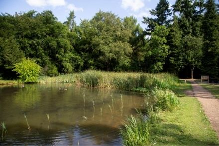 Brandon Country Park