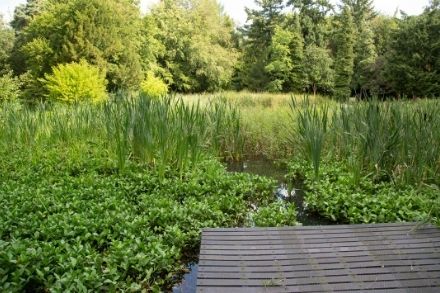 Brandon Country Park