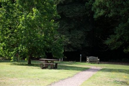 Brandon Country Park