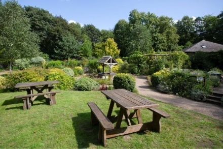 Brandon Country Park