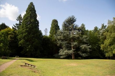 Brandon Country Park