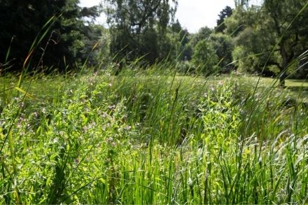 Brandon Country Park