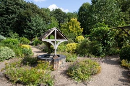 Brandon Country Park