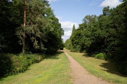 Brandon Country Park