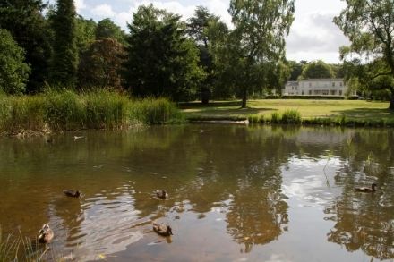 Brandon Country Park