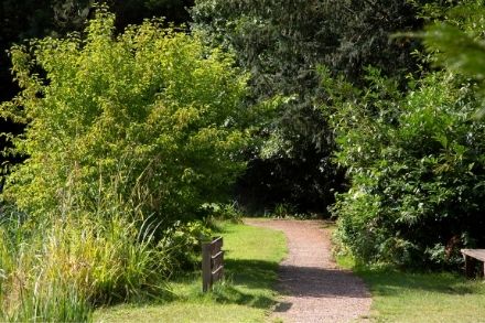 Brandon Country Park