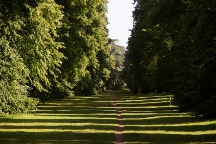 Nowton Park