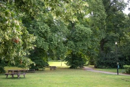 Nowton Park